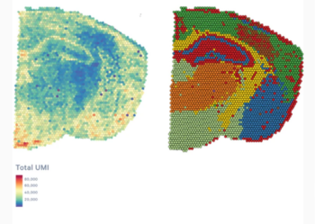 Spatial Bioanalysis & Biology Solutions - Aliri Bioanalysis