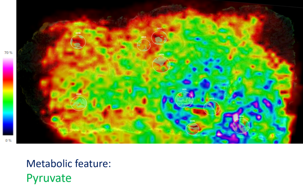 Spatial Multi-Omics - Aliri Bioanalysis