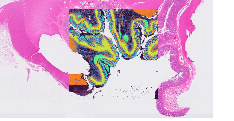 Visium & Visium HD - Aliri Bioanalysis
